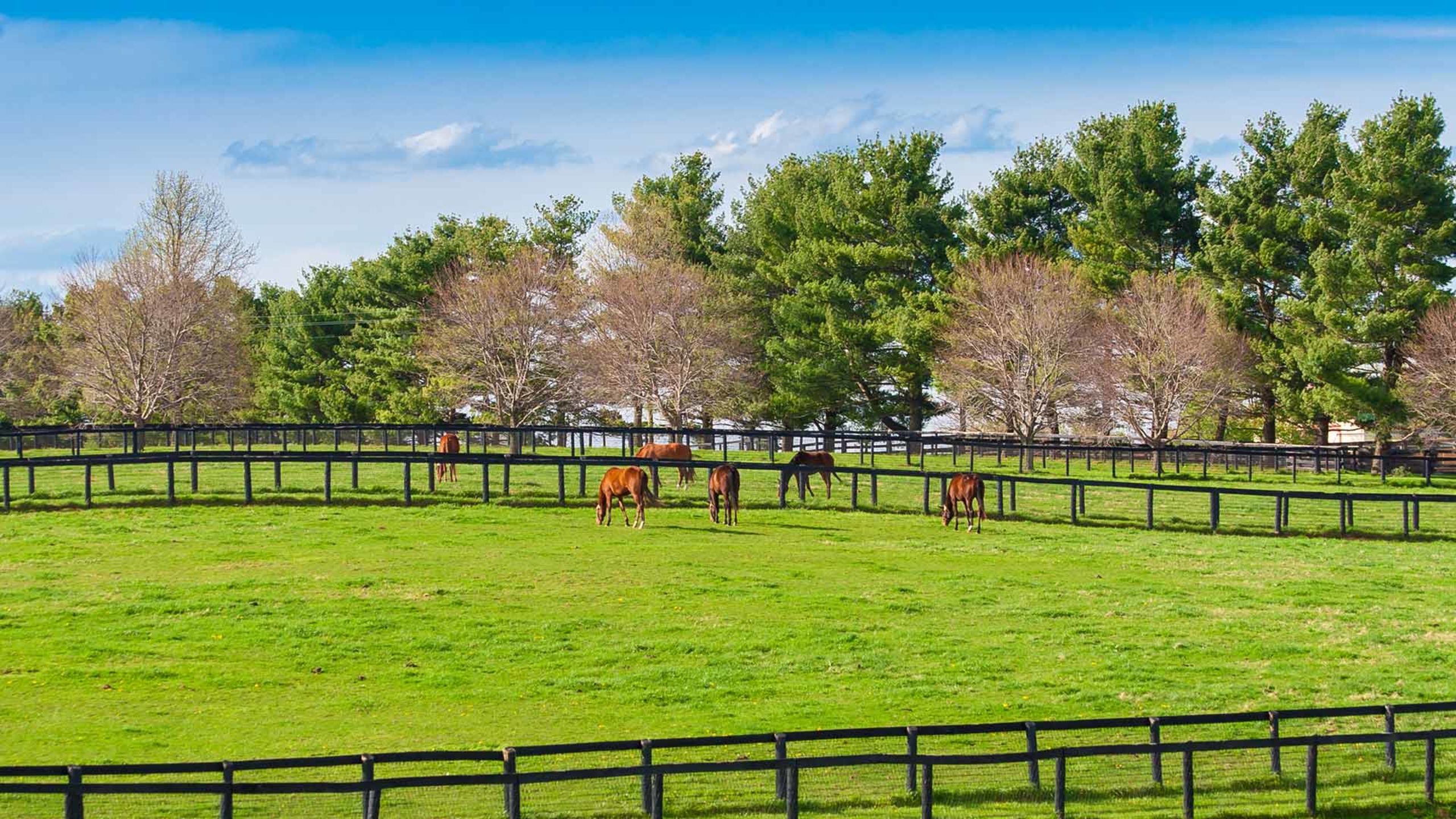 Colleen Gordon Group | Indiana Real Estate - Greenwood, Whiteland ...