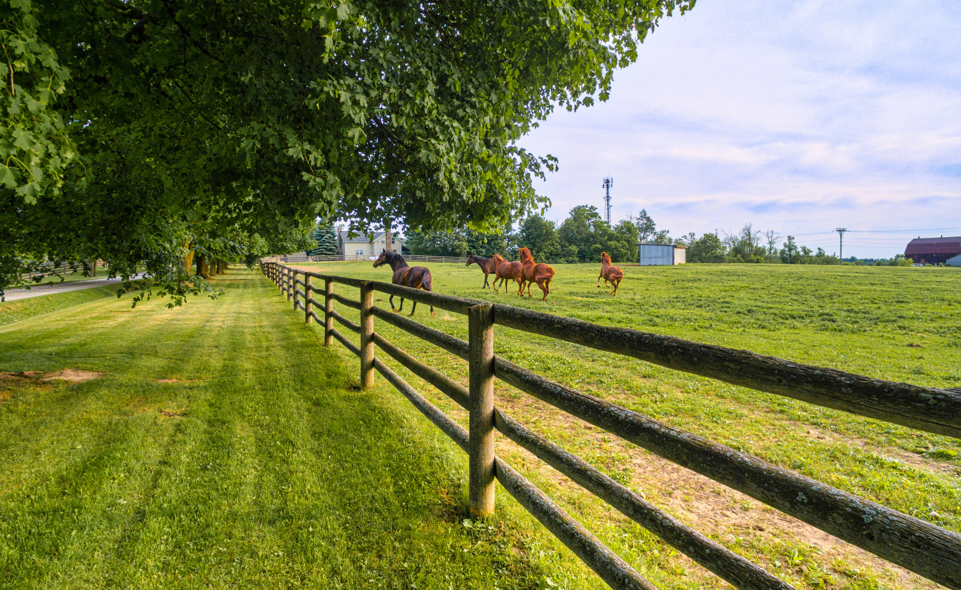 Horse Farms for Sale in St. Tammany Parish – Where to Find Equestrian ...