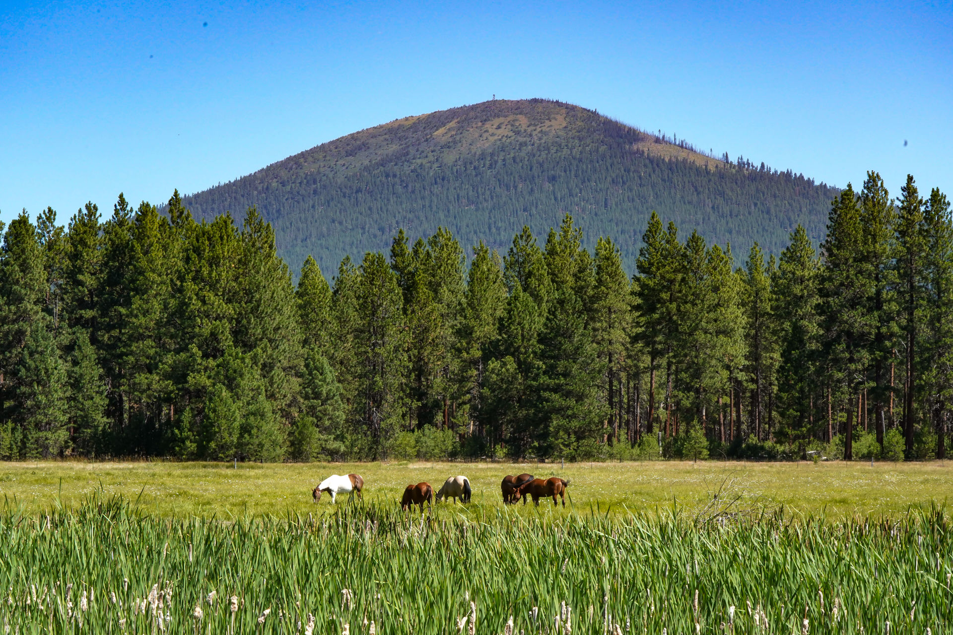 Black Butte Ranch