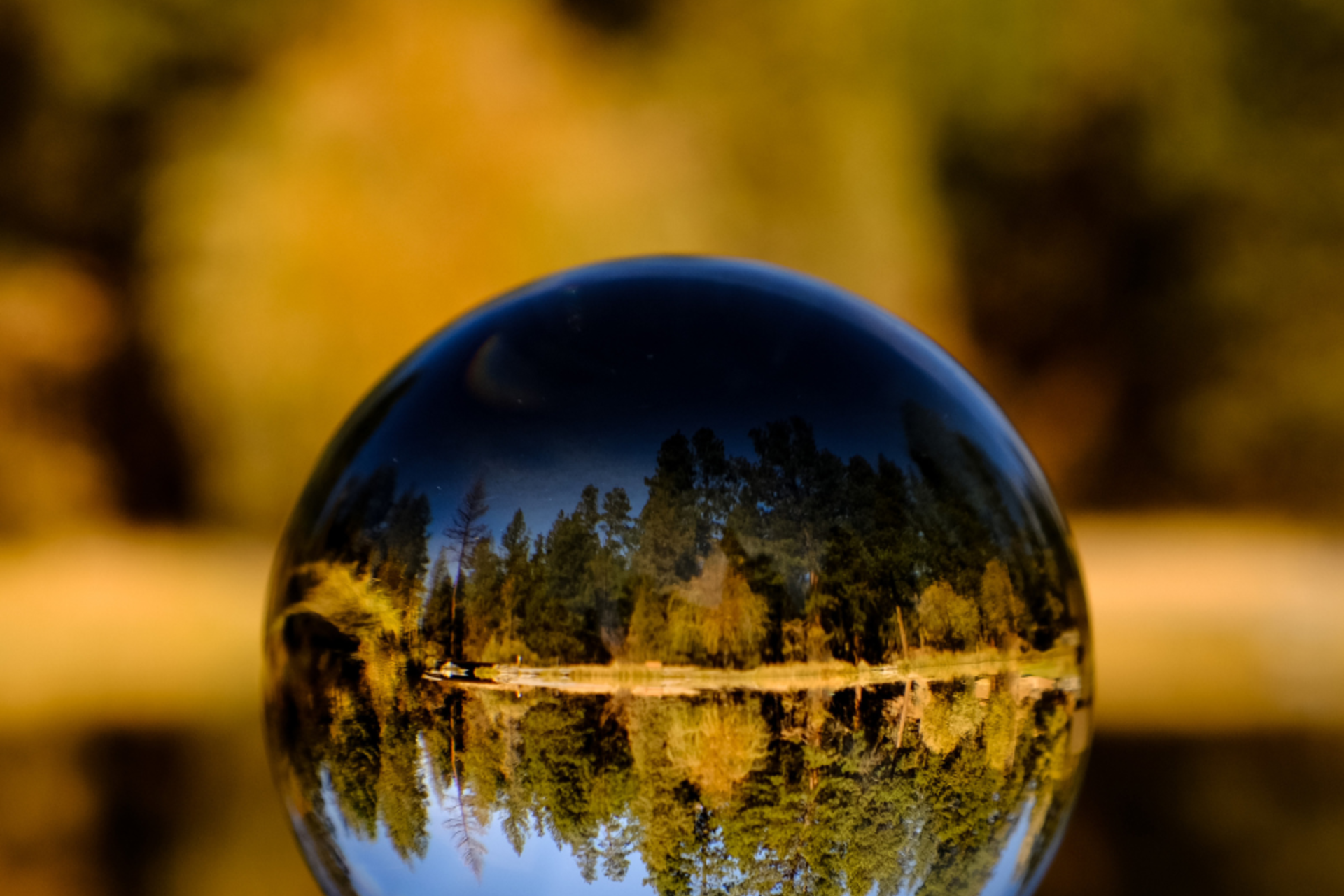 Discover Bend, Oregon's Real Estate Boom
