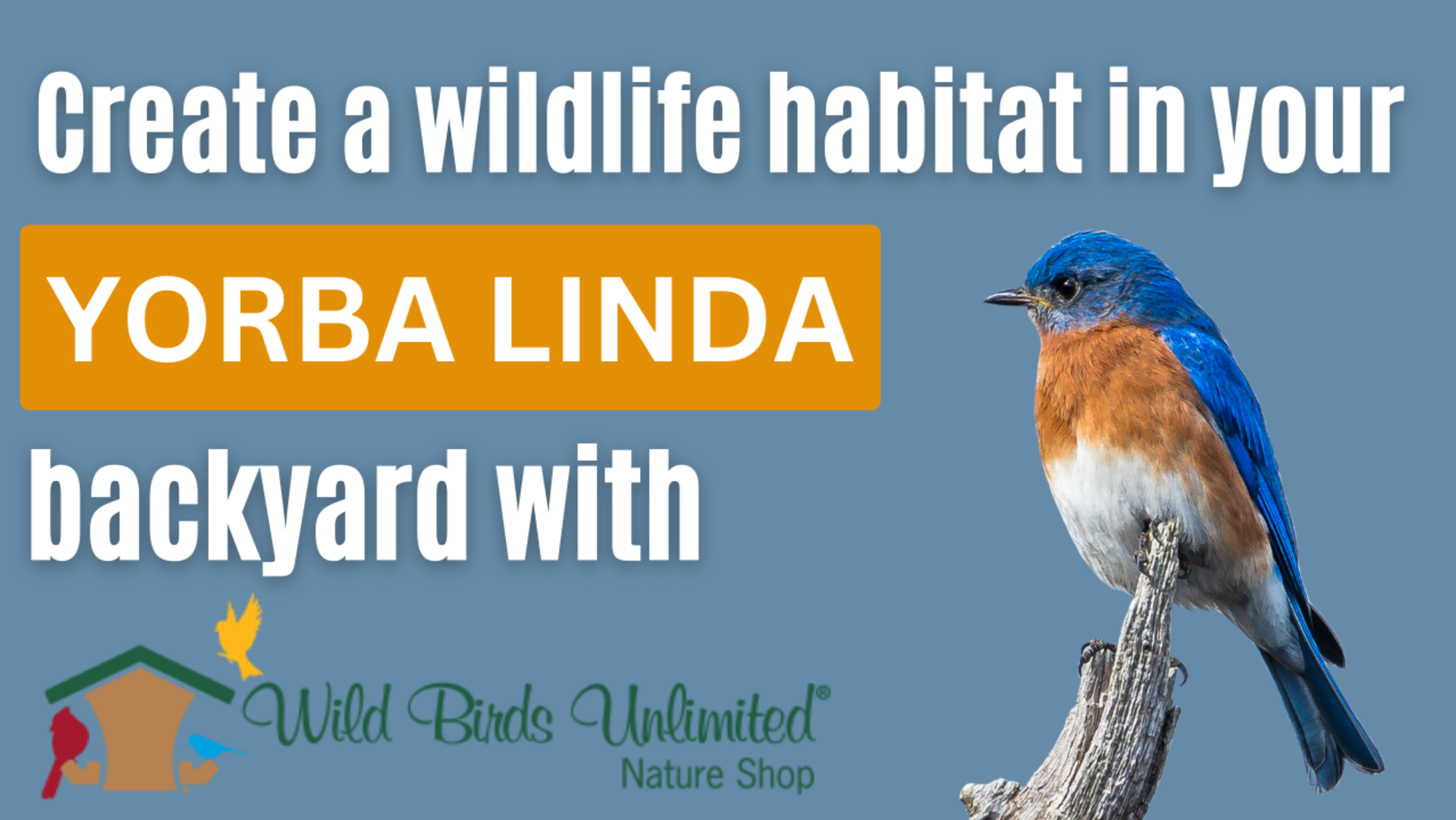 Wild Birds Unlimited Yorba Linda