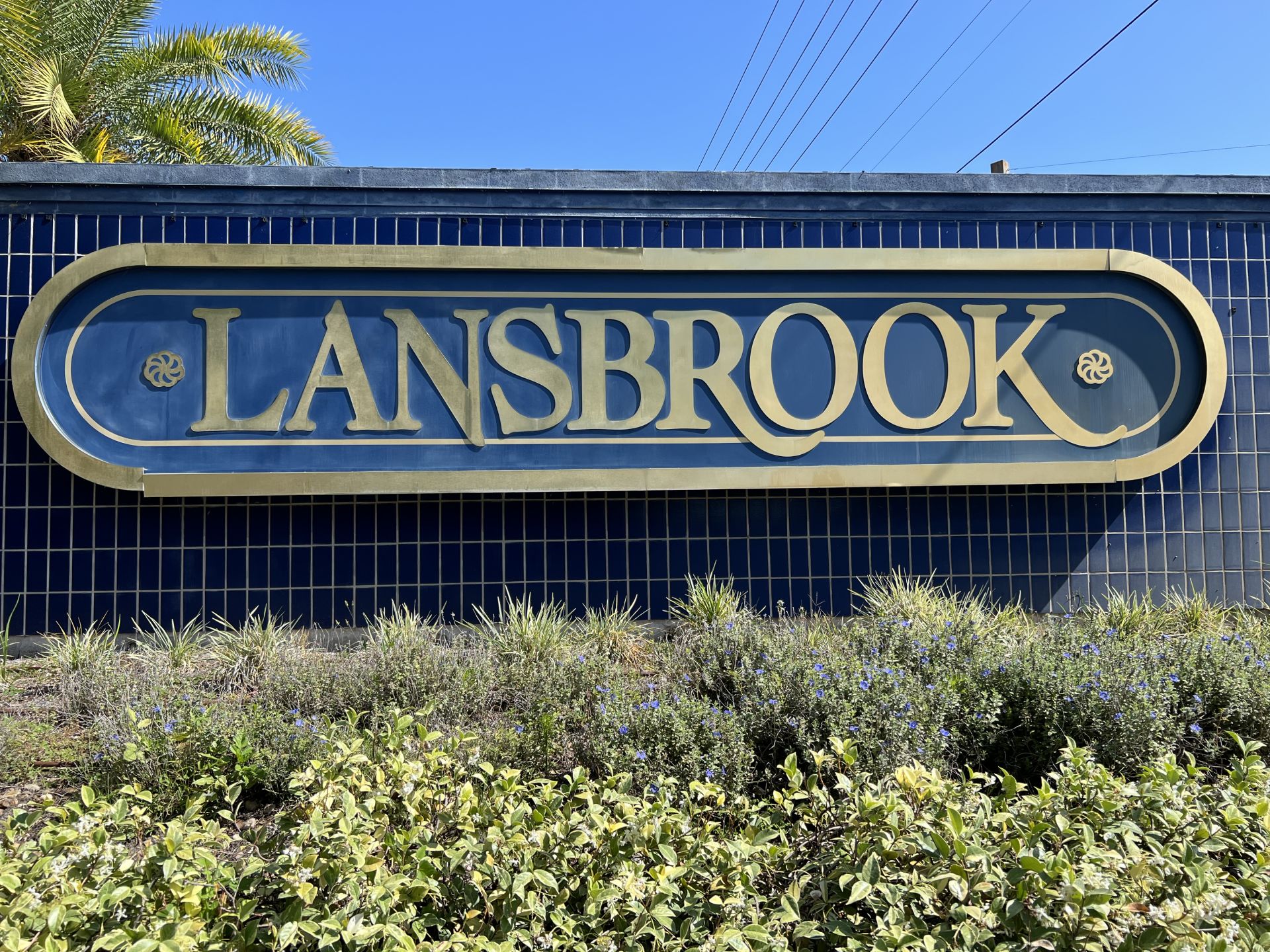 Lansbrook Homes for Sale | Palm Harbor FL Real Estate | Todd Howard