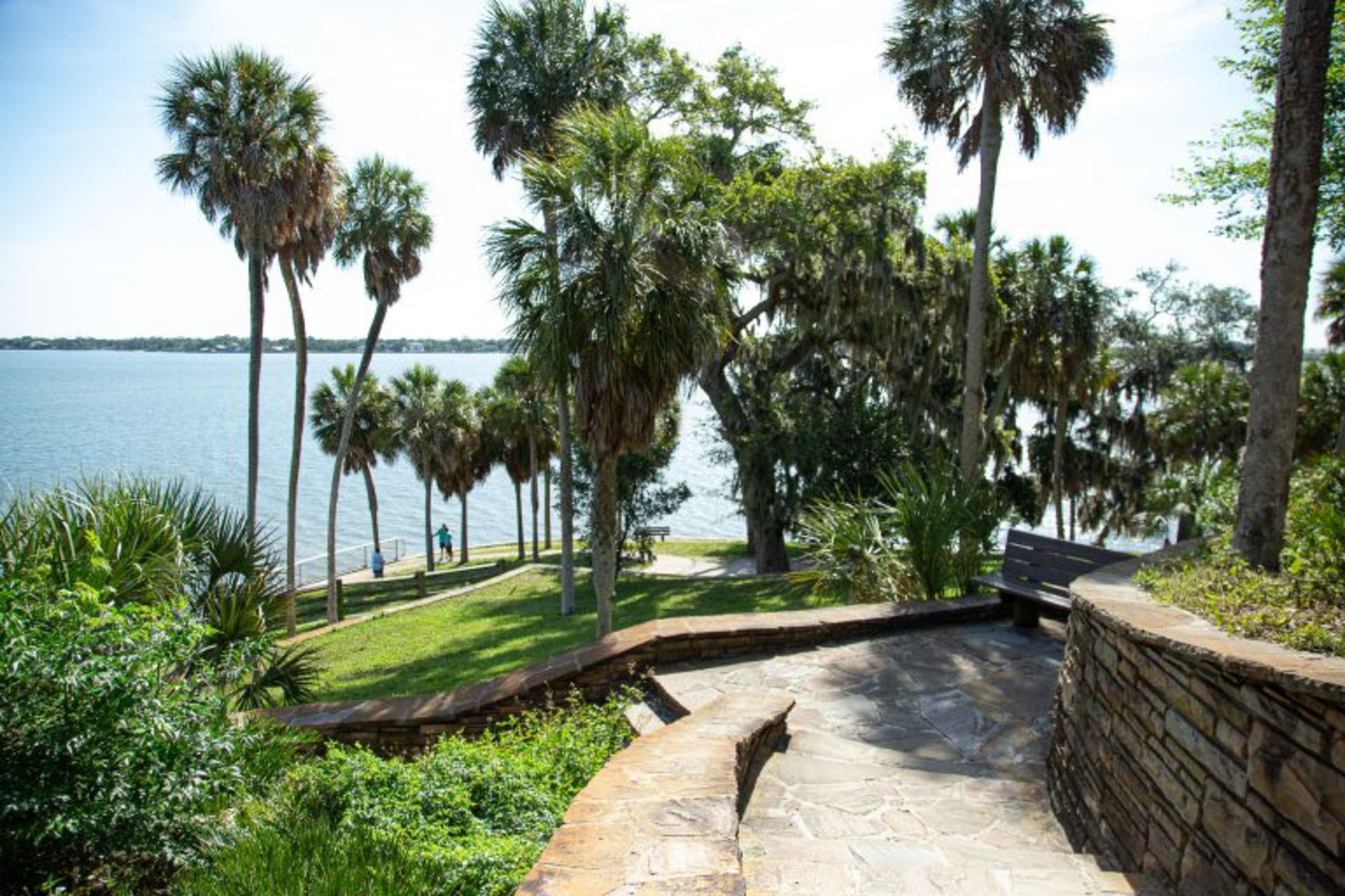 Safety Harbor Dog-Friendly Dining FL | 2025 Pet Patio & Bar Guide ...