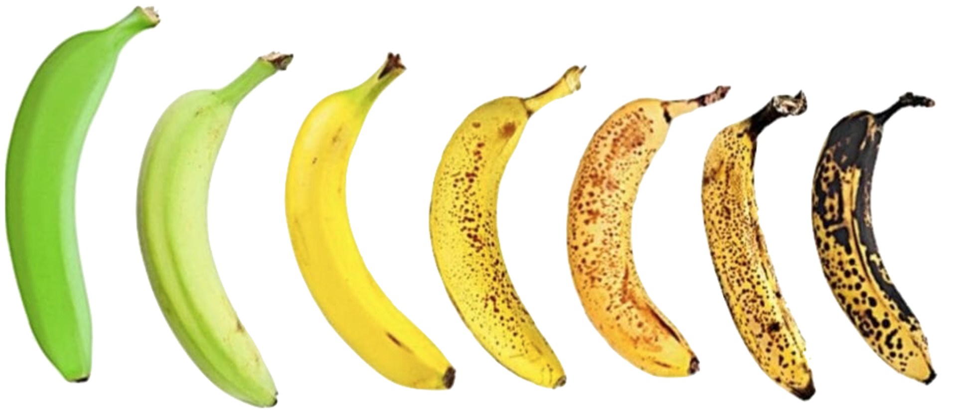 Success stories - Best Bananas in Town - No Waiting