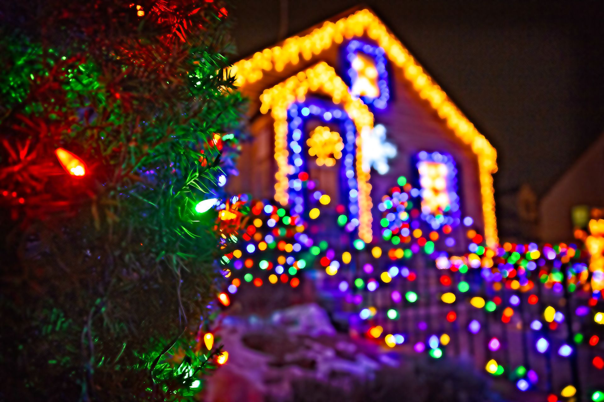 Ultimate Holiday Lights Guide for the NC Coast, Triangle & Triad | NC ...