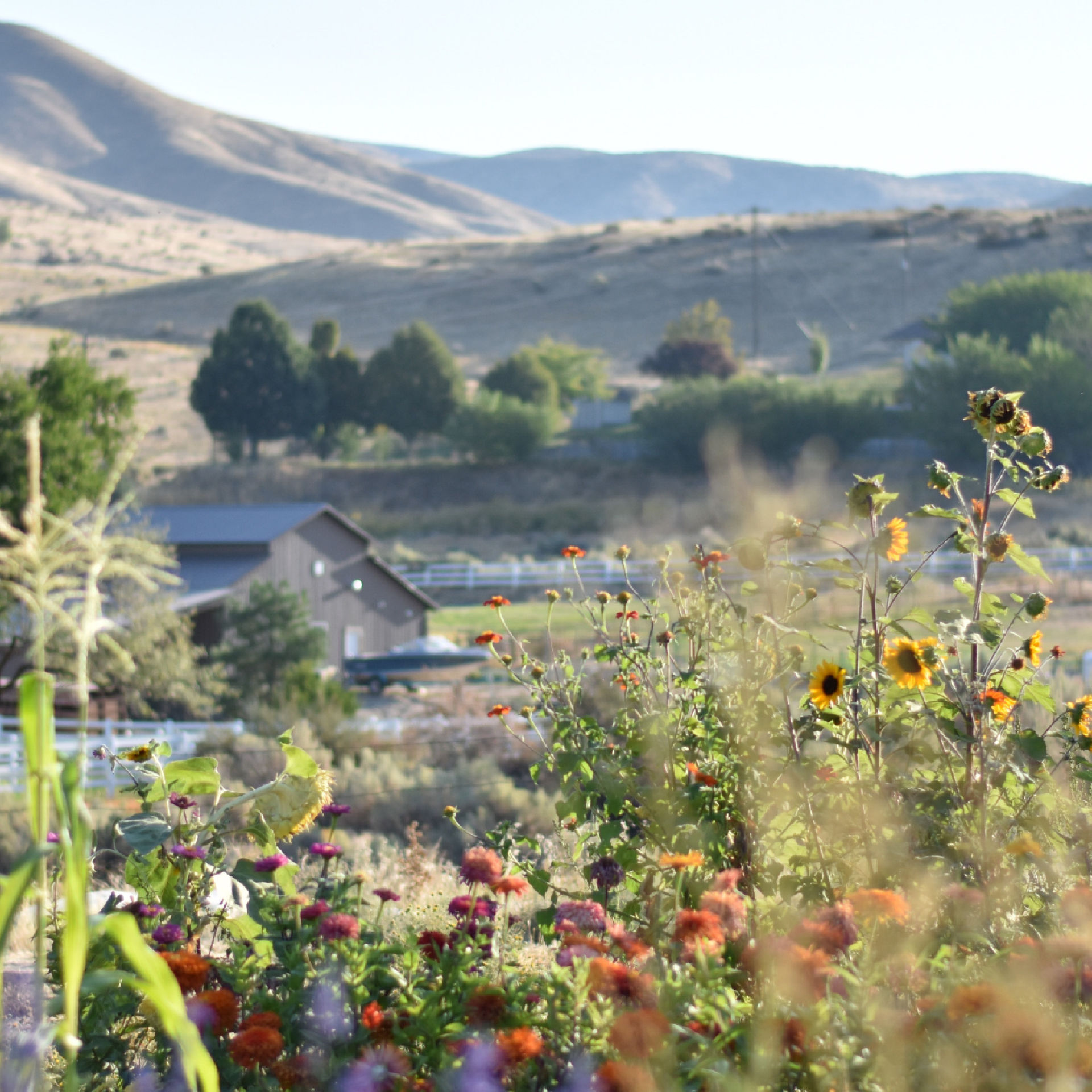 Milestone Ranch Star, Idaho | 55+ Community