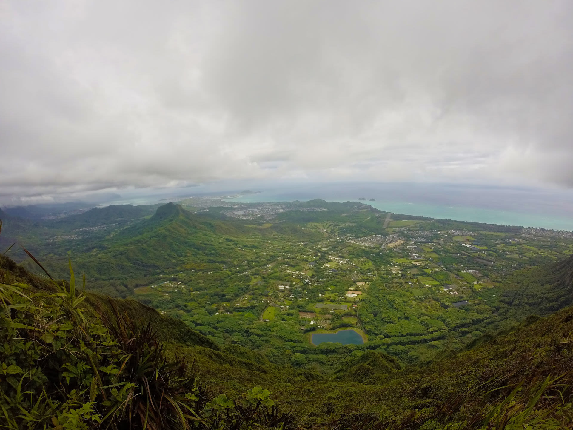 Hawaii Loa Ridge | Captain Cook Real Estate