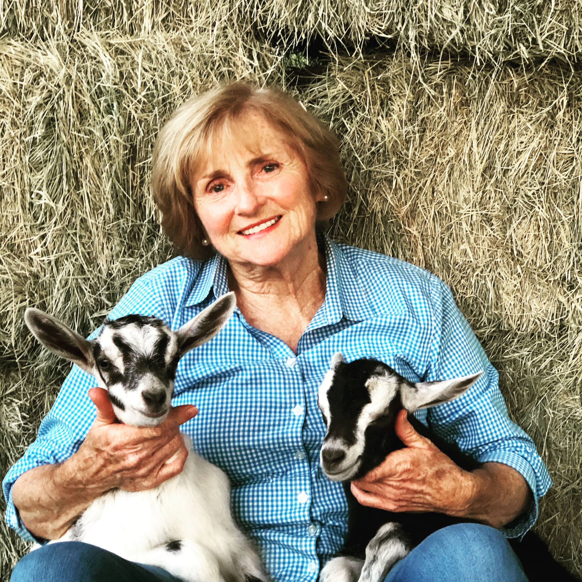 Barbara Ford - Your Local Preferred Real Estate Professionals