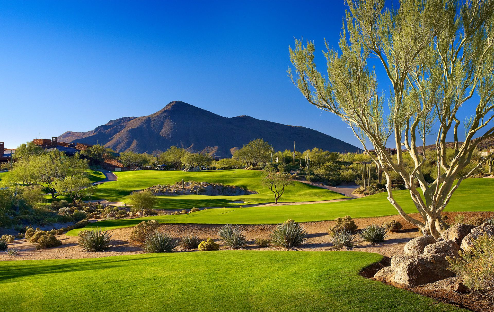 Desert Mountain - Your Luxury Real Estate Experts