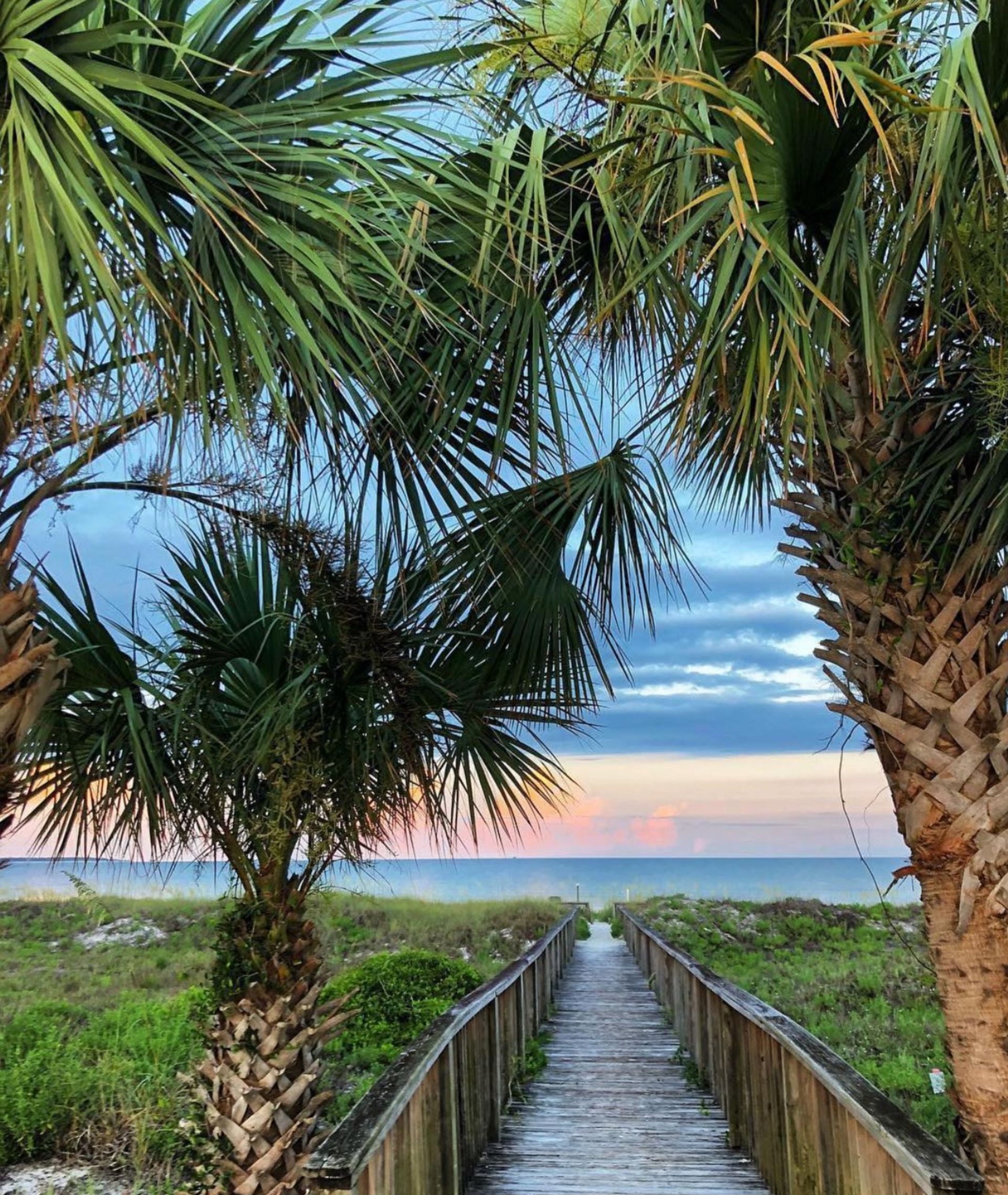 MEXICO BEACH - The company with a purpose