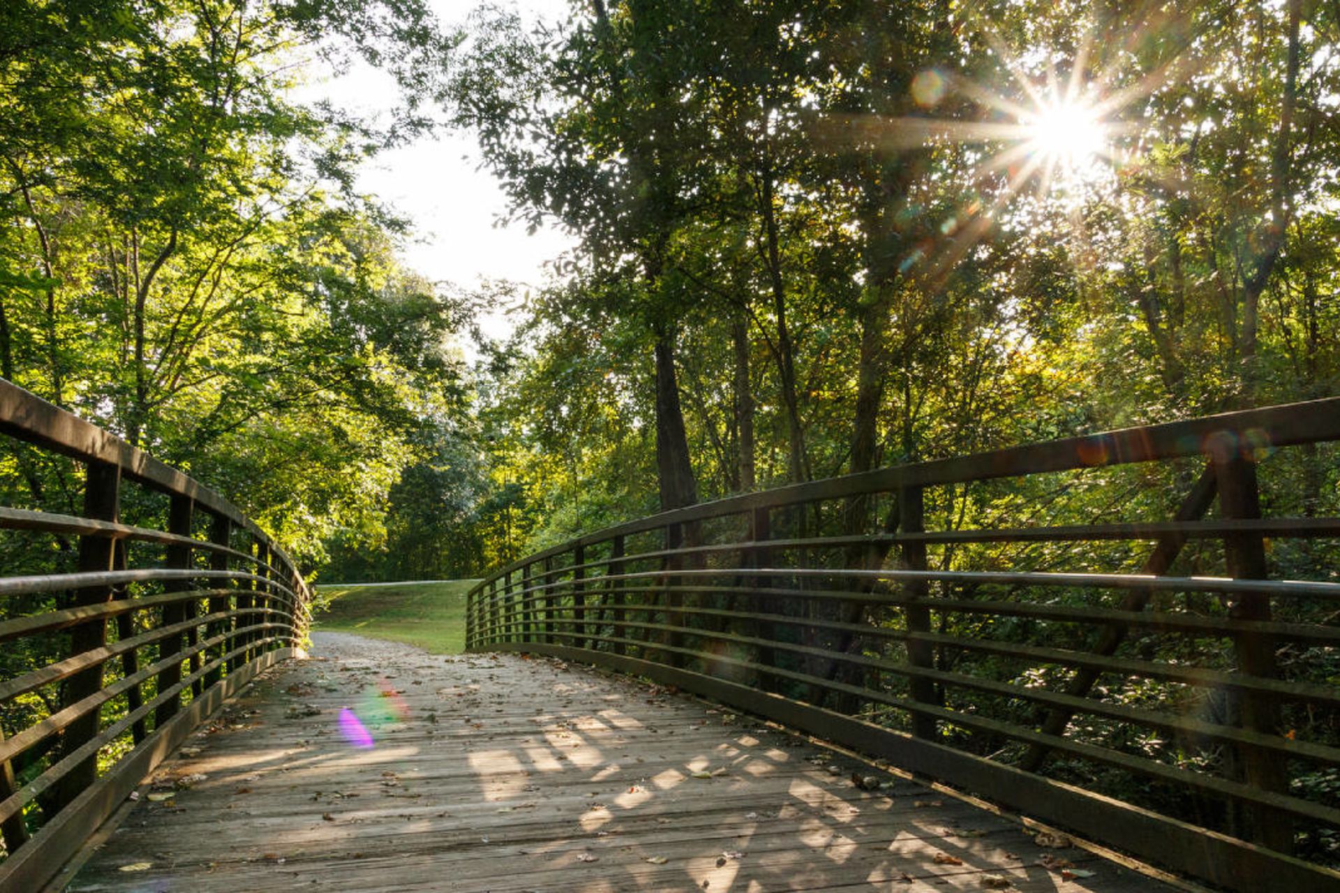 What could be included in Hamilton County's parks master plan? Here's a ...