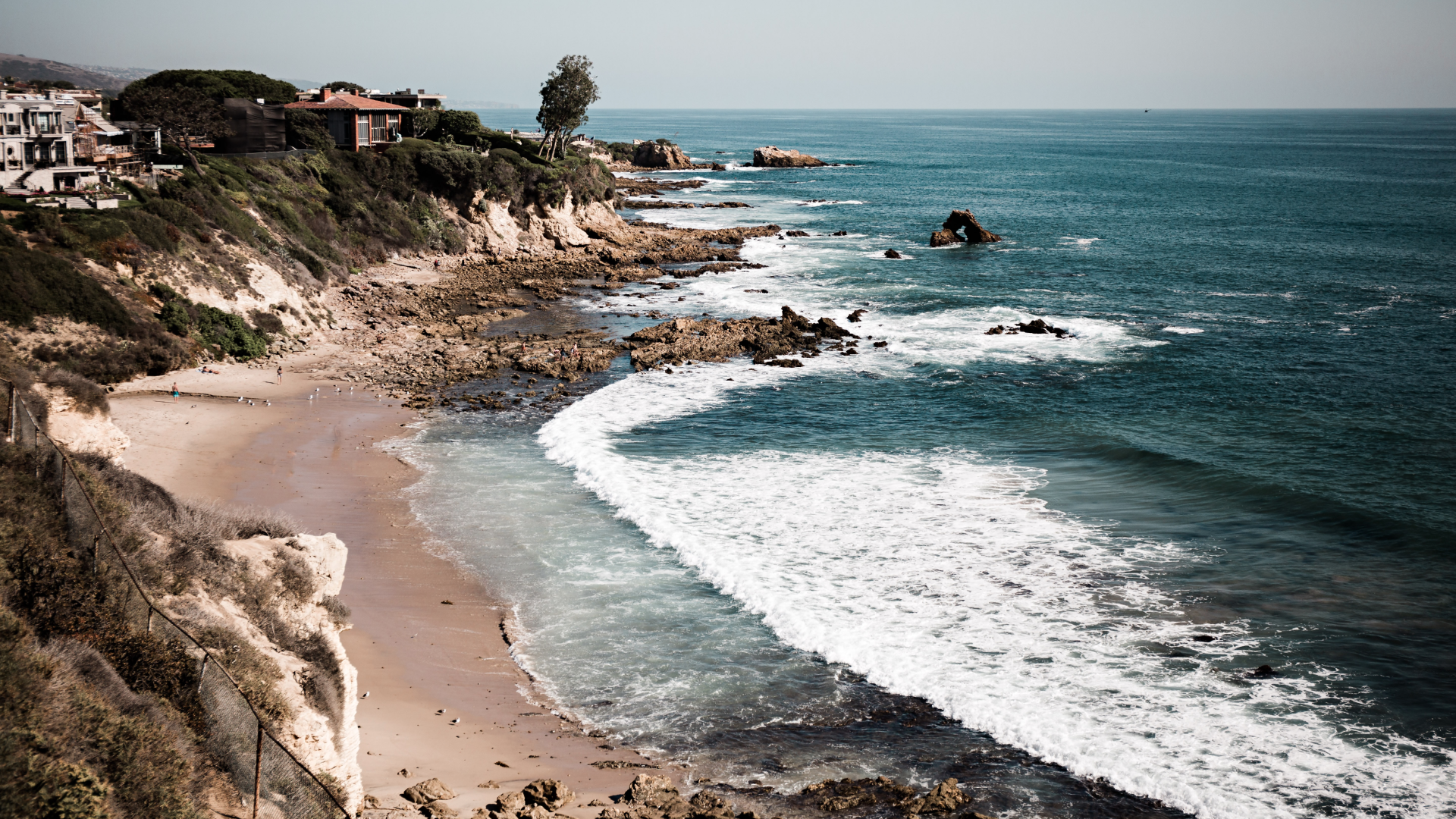 Ocean views - The company with a purpose