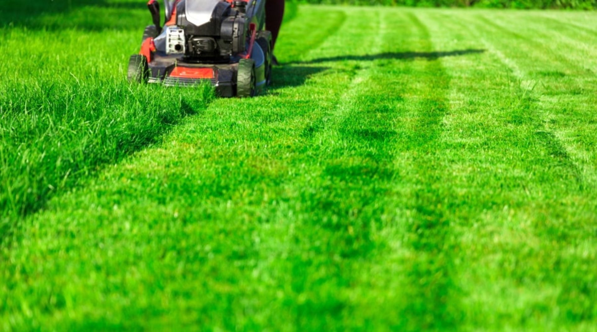 Summer Yard & Landscape Maintenance Checklist - Smyrna, GA's Oldest ...