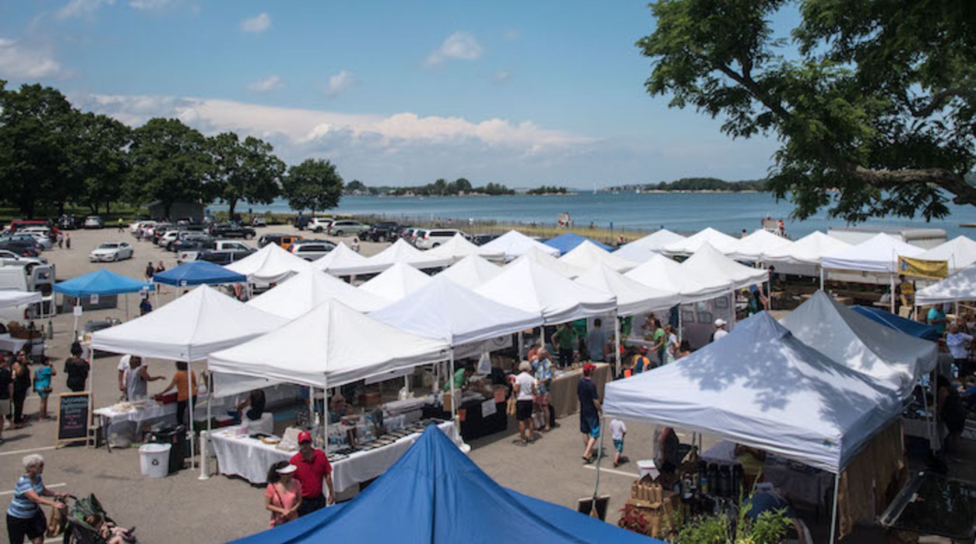 South Shore Locals’ Best-Kept Secrets