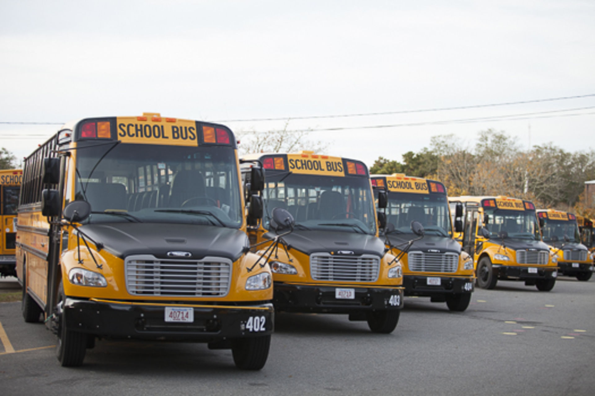 Cape Cod Schools - The Cape Properties