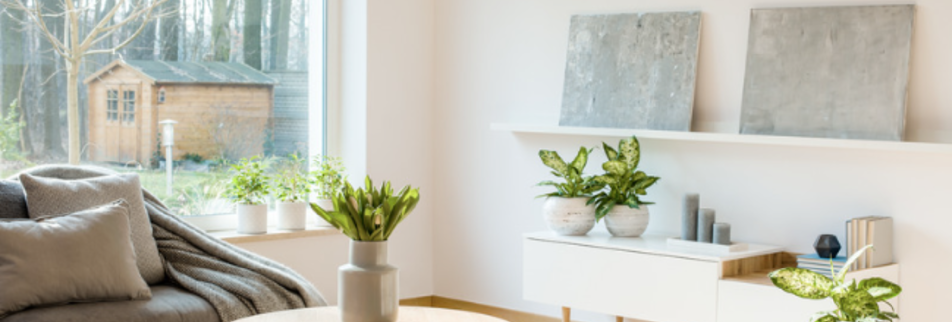 Easy Ways to Incorporate Biophilic Design into Your Home - A NAME YOU ...