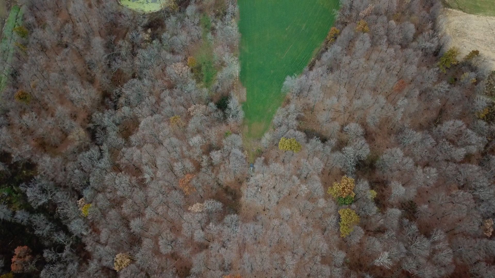 What Land Should I Buy? - Land Buying and Selling Experts