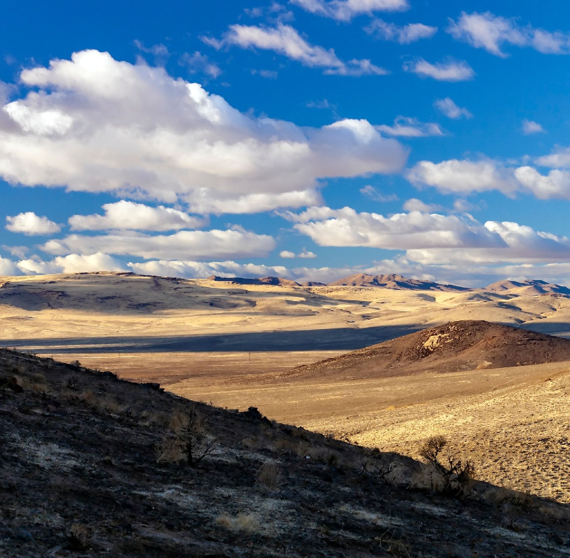 Why Fernley, Nevada is Becoming a Popular Destination for Homebuyers ...