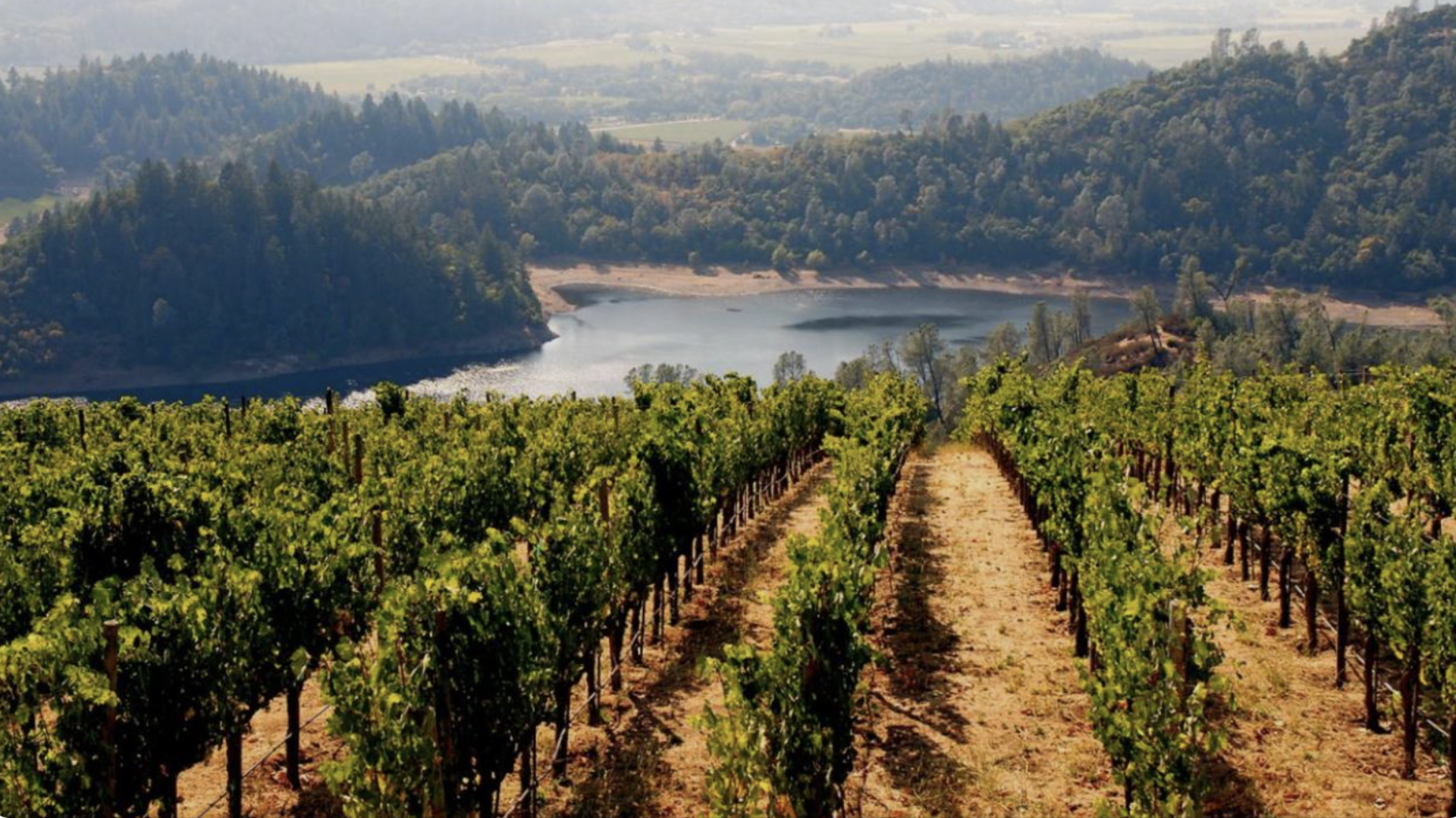 Most Expensive Zip Codes in Sonoma County - Buy, Sell Or Build Your ...