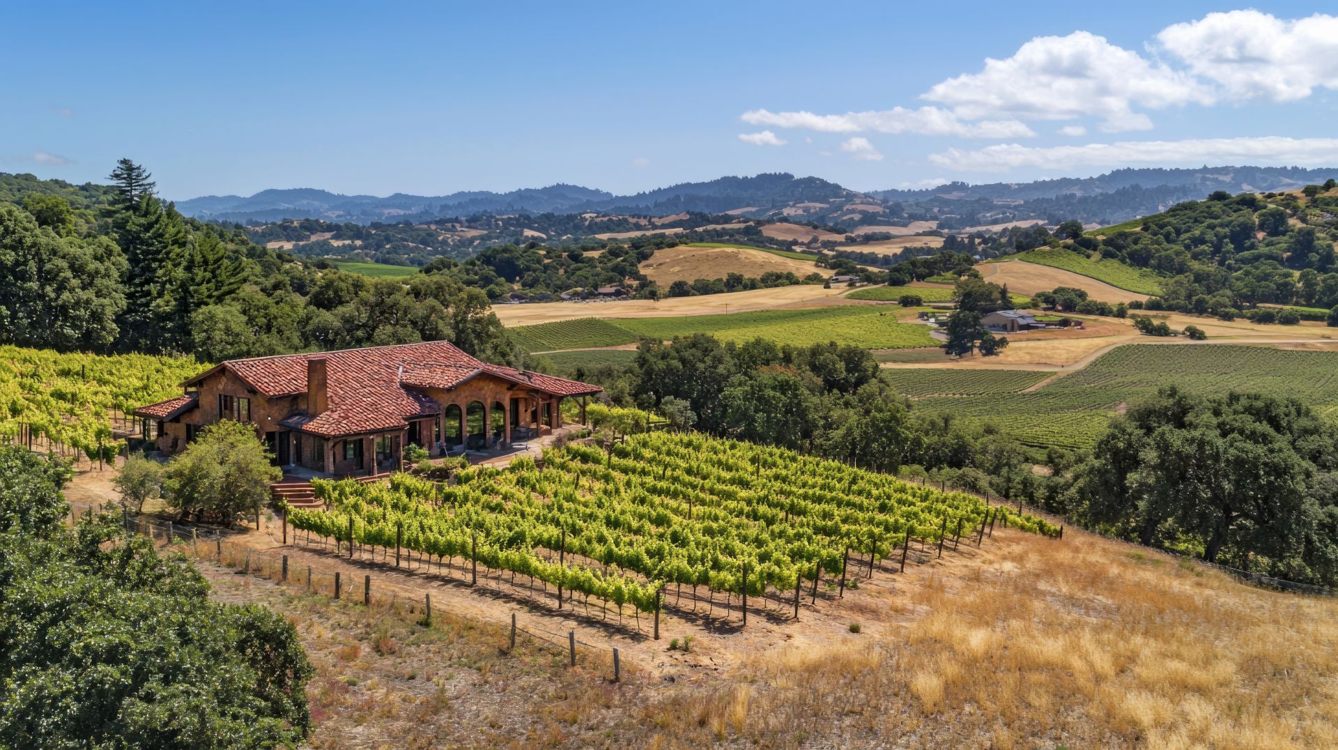 How to buy a vineyard in Sonoma County (costs) - Buy, Sell Or Build ...