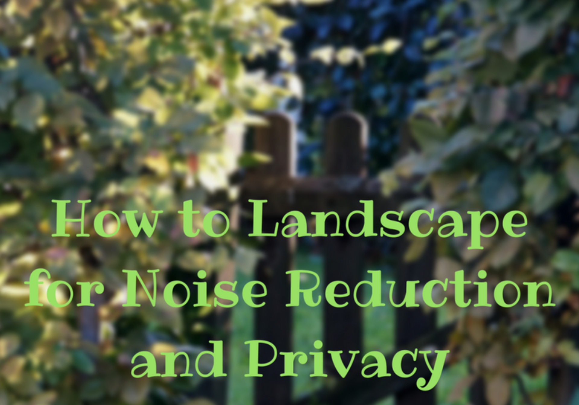 How to Landscape for Noise Reduction and Privacy - Local Real Estate ...
