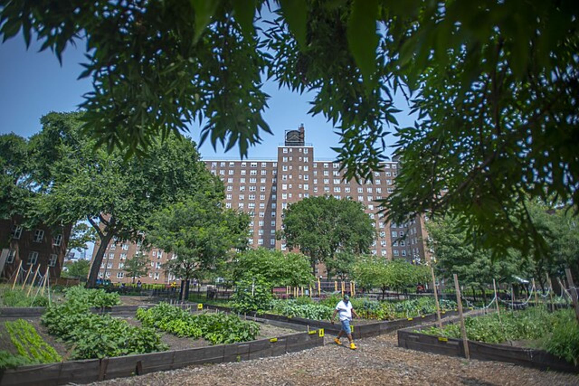 Housing Choice Voucher Program & Immigration Status Verification ...