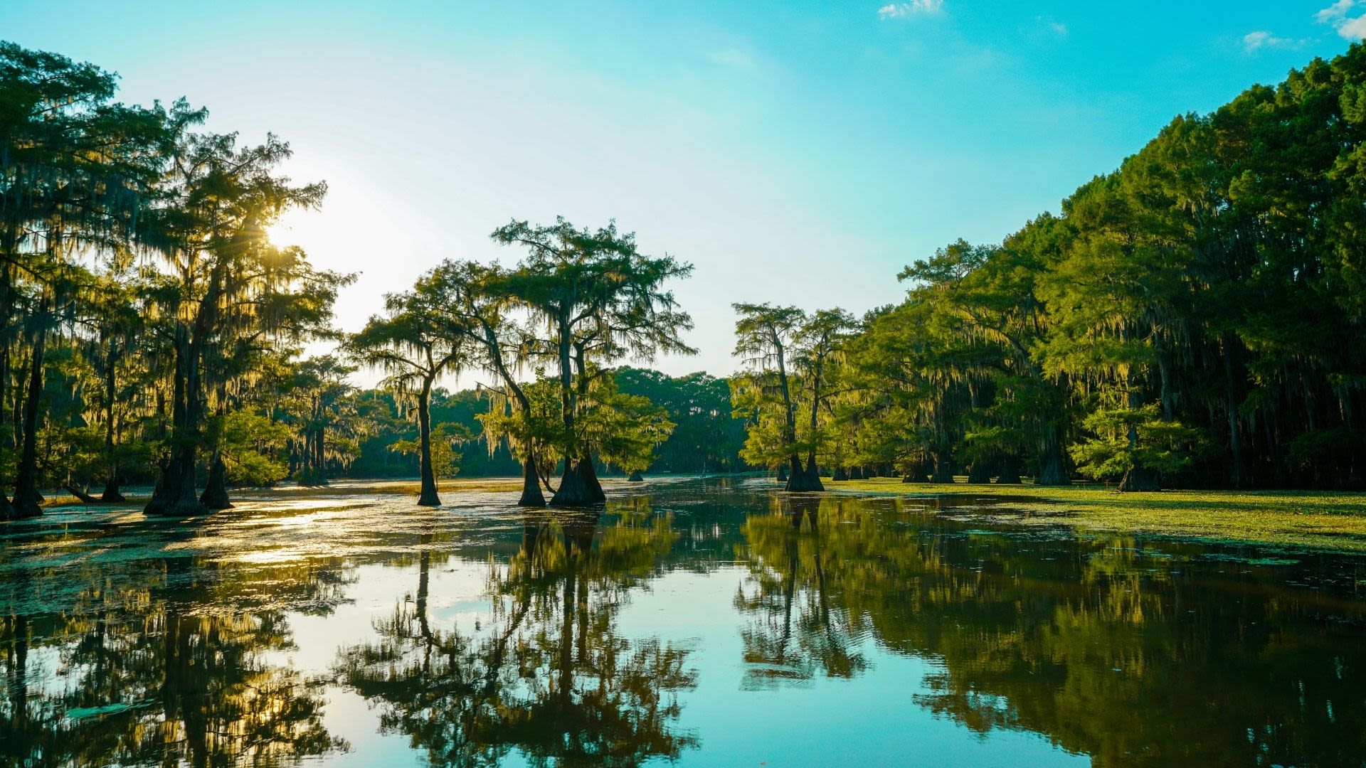 Lake Limestone - EXPERIENCE YOU CAN TRUST!