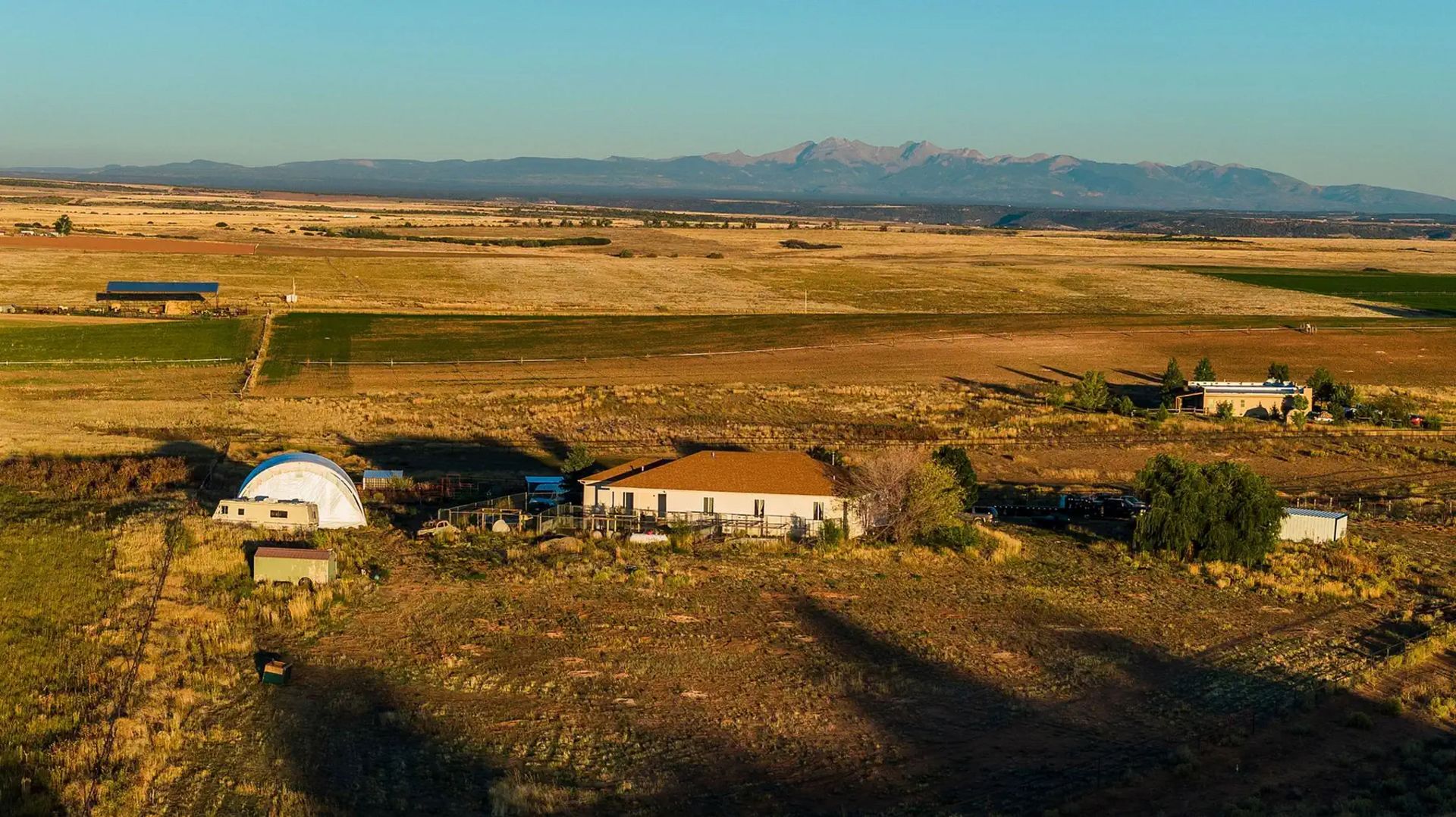 Yellow Jacket - Your Cortez Colorado Real Estate Agent