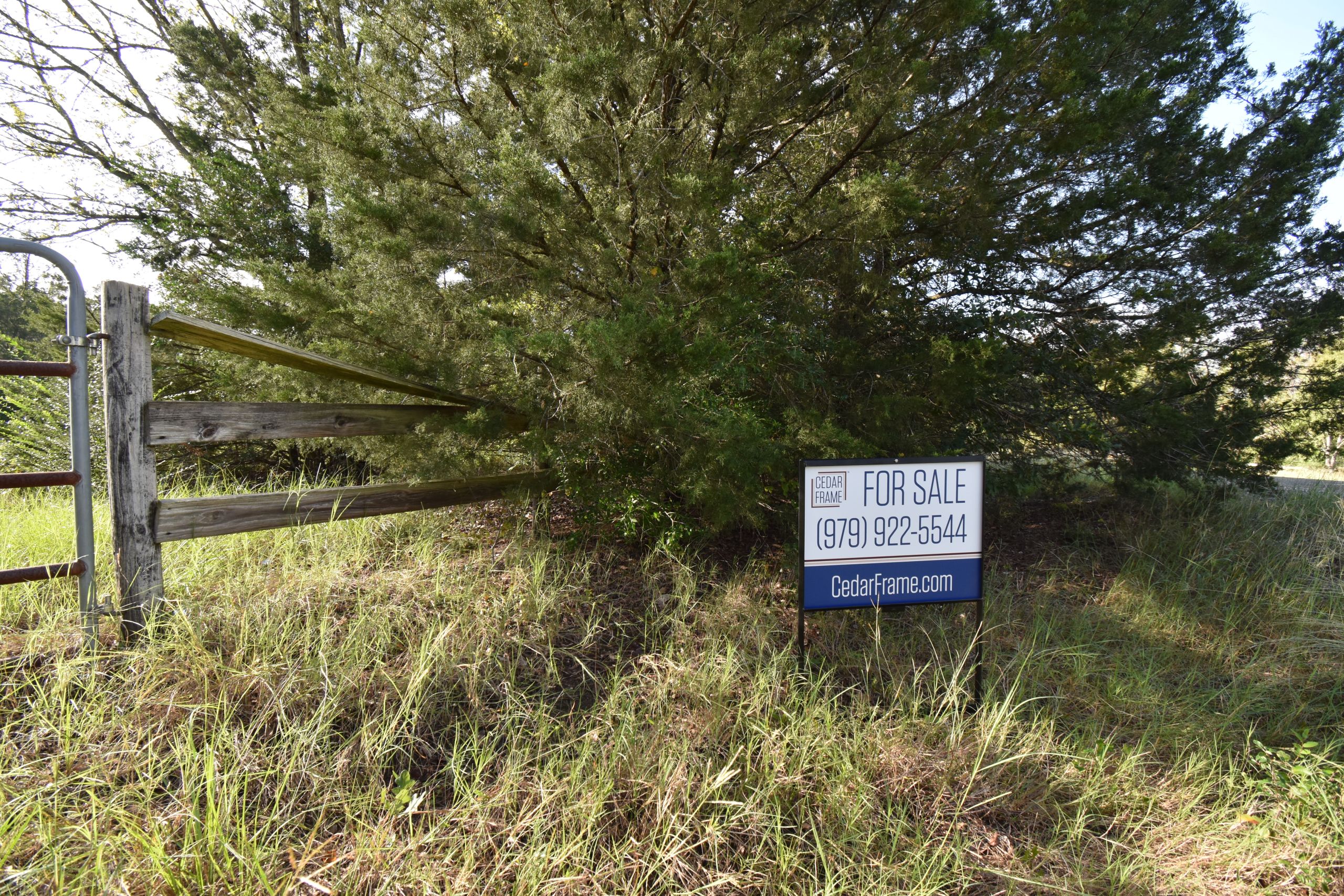 Cedar Frame