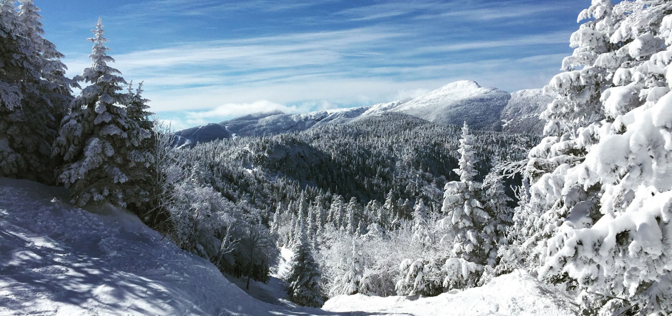 The Weaver Team - Find Your Home Sweet Vermont