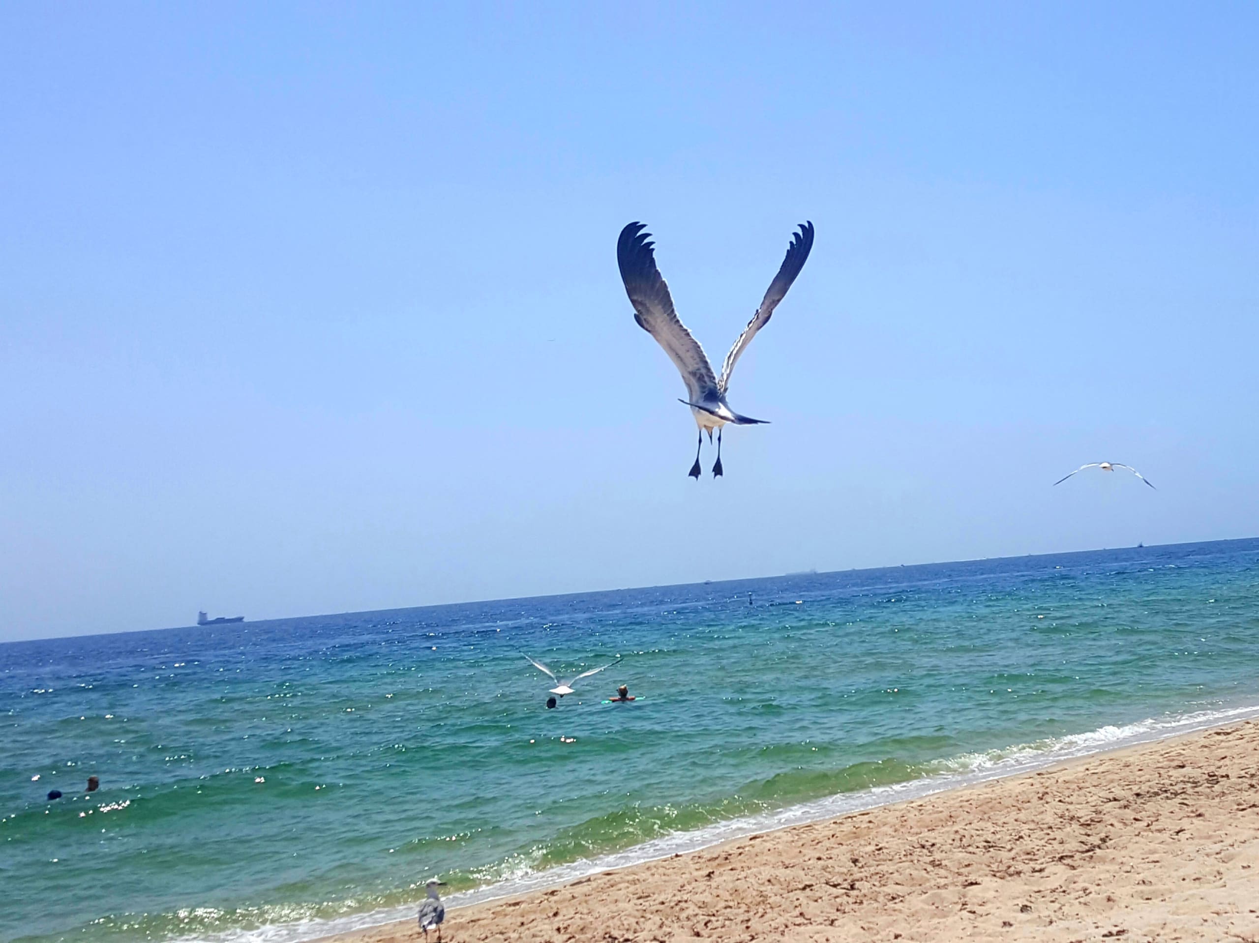 Your Source for Real Estate in South Florida - Your source for Real Estate