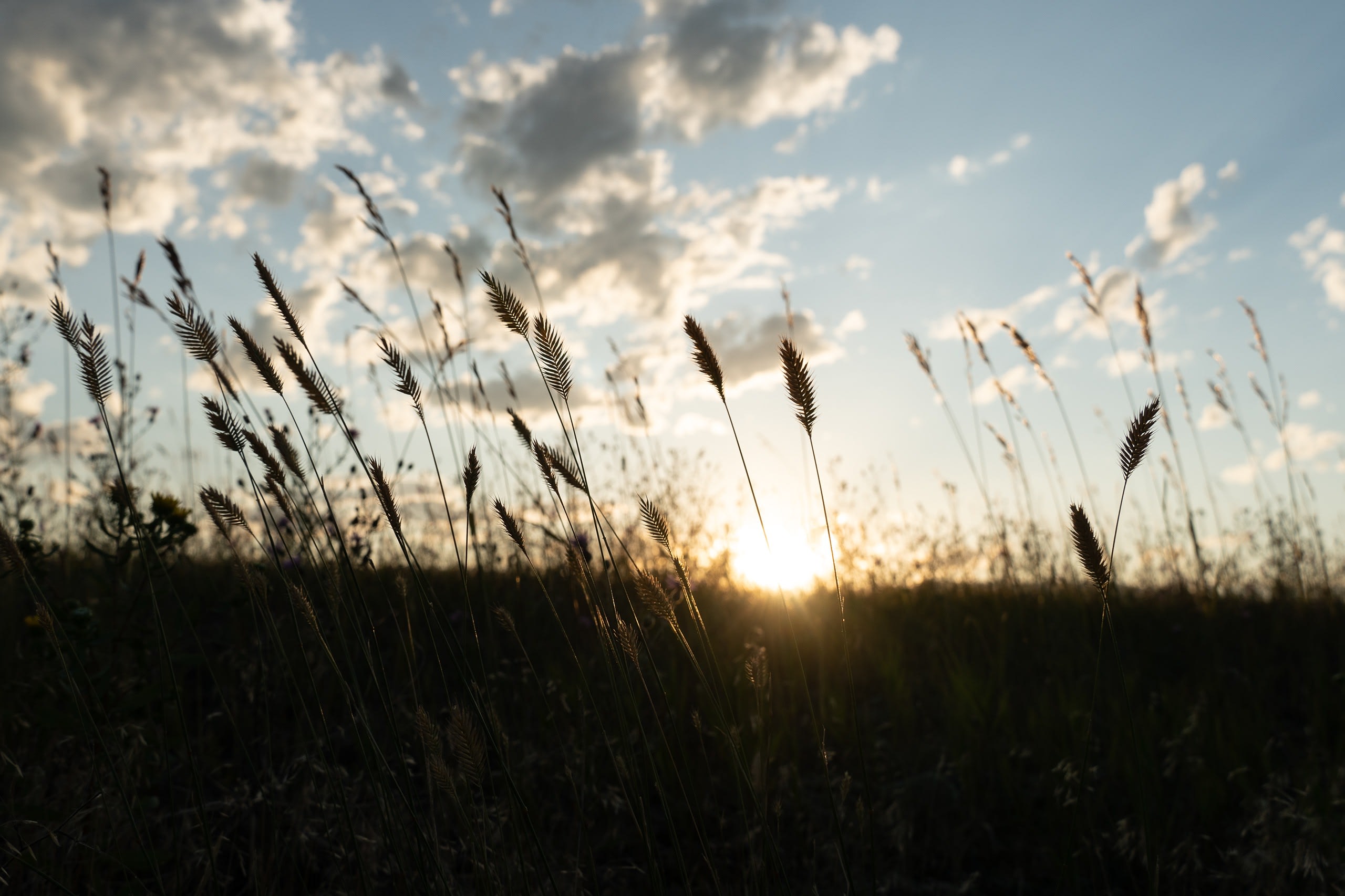 Maverick Realty, Inc - We're All Over This Place!