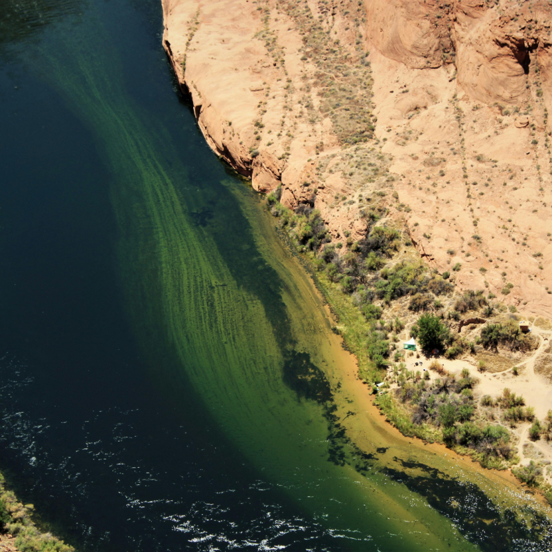 SRP Voting Explained: How Salt River Project Governance Impacts Arizona ...