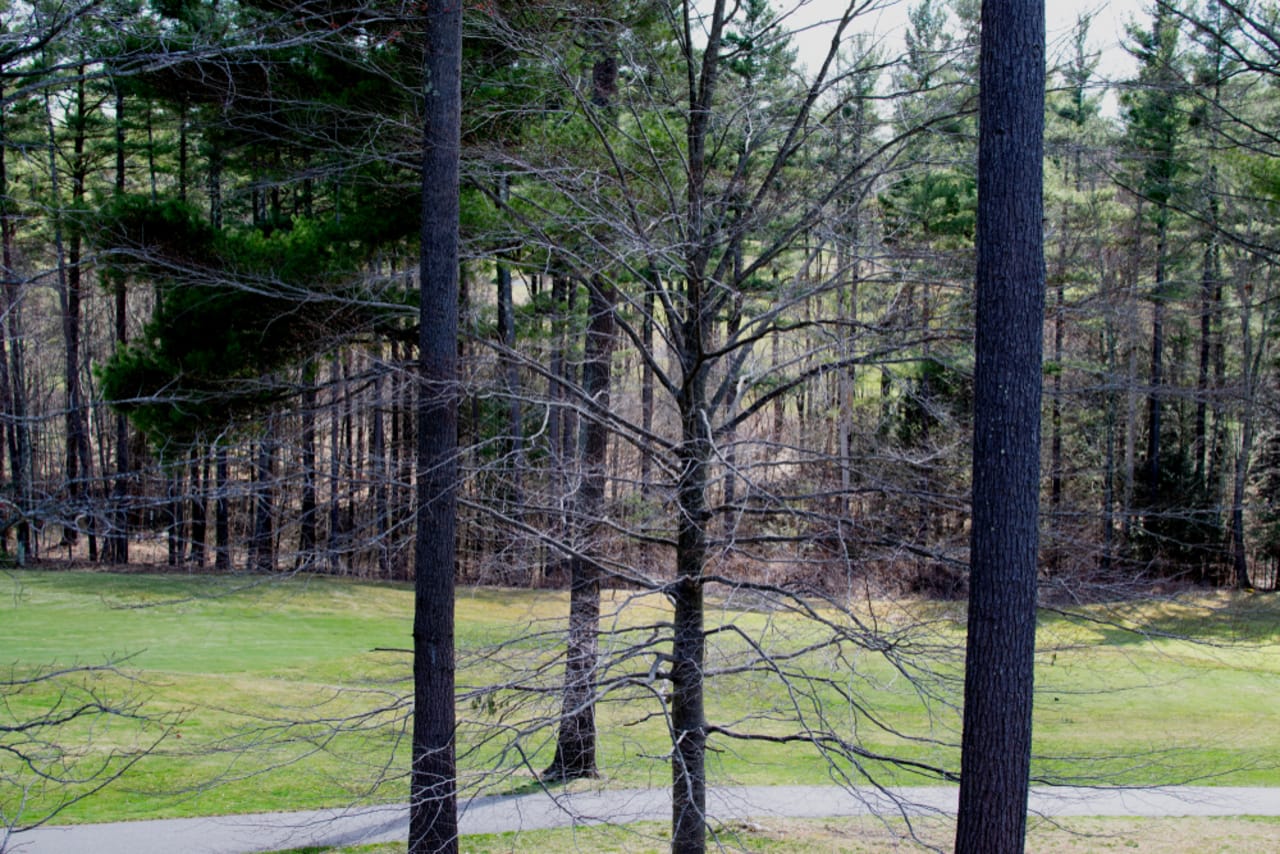 Laughlin - PREMIER REAL ESTATE TEAM