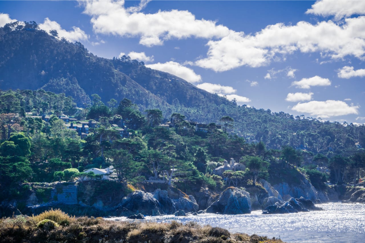 Molly McGee REALTOR, Monterey Bay CA Real Estate - Love Where You Live!