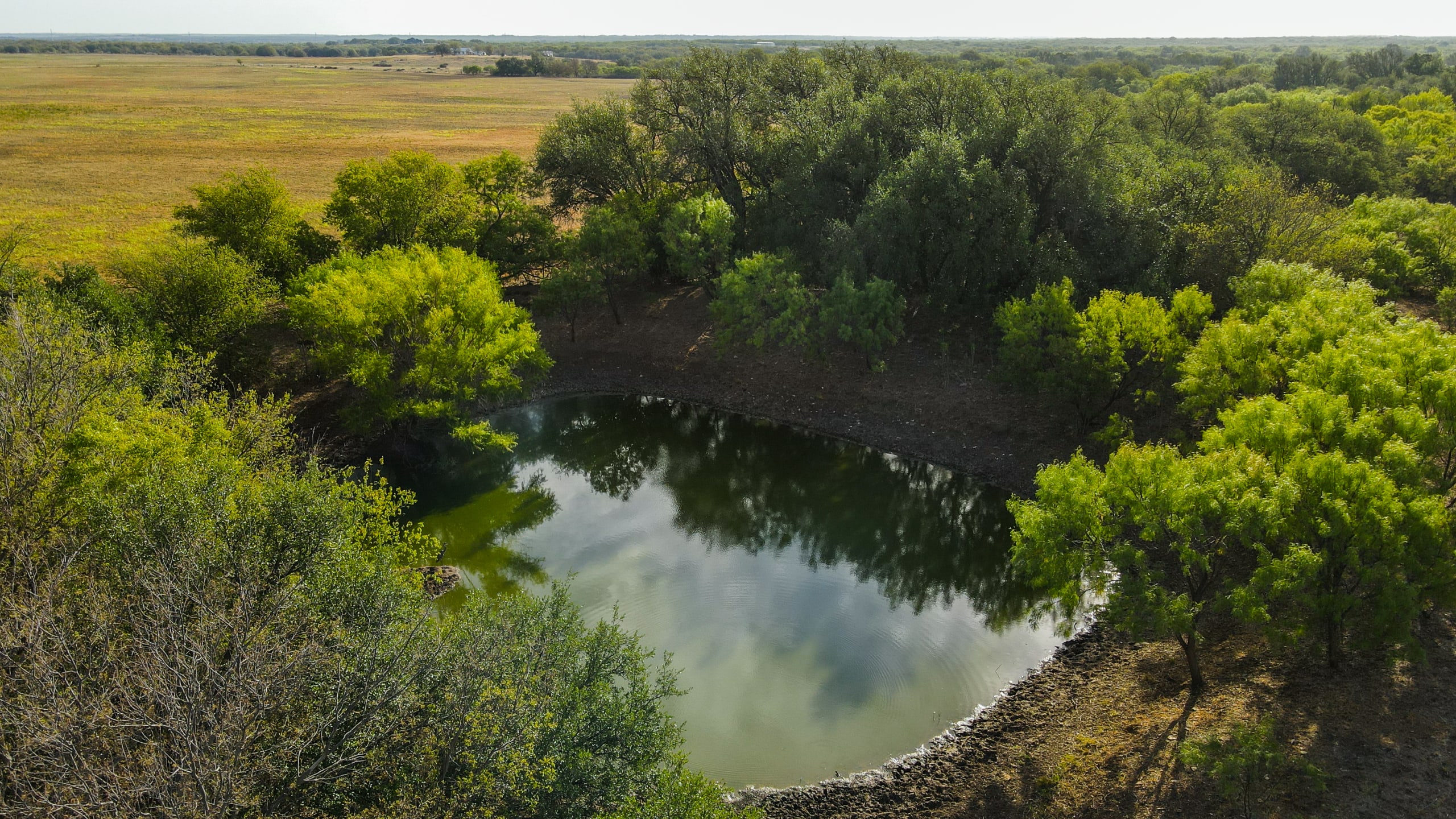 Homepage | Land Company of Texas | Real Estate - Your Texas Land Experts