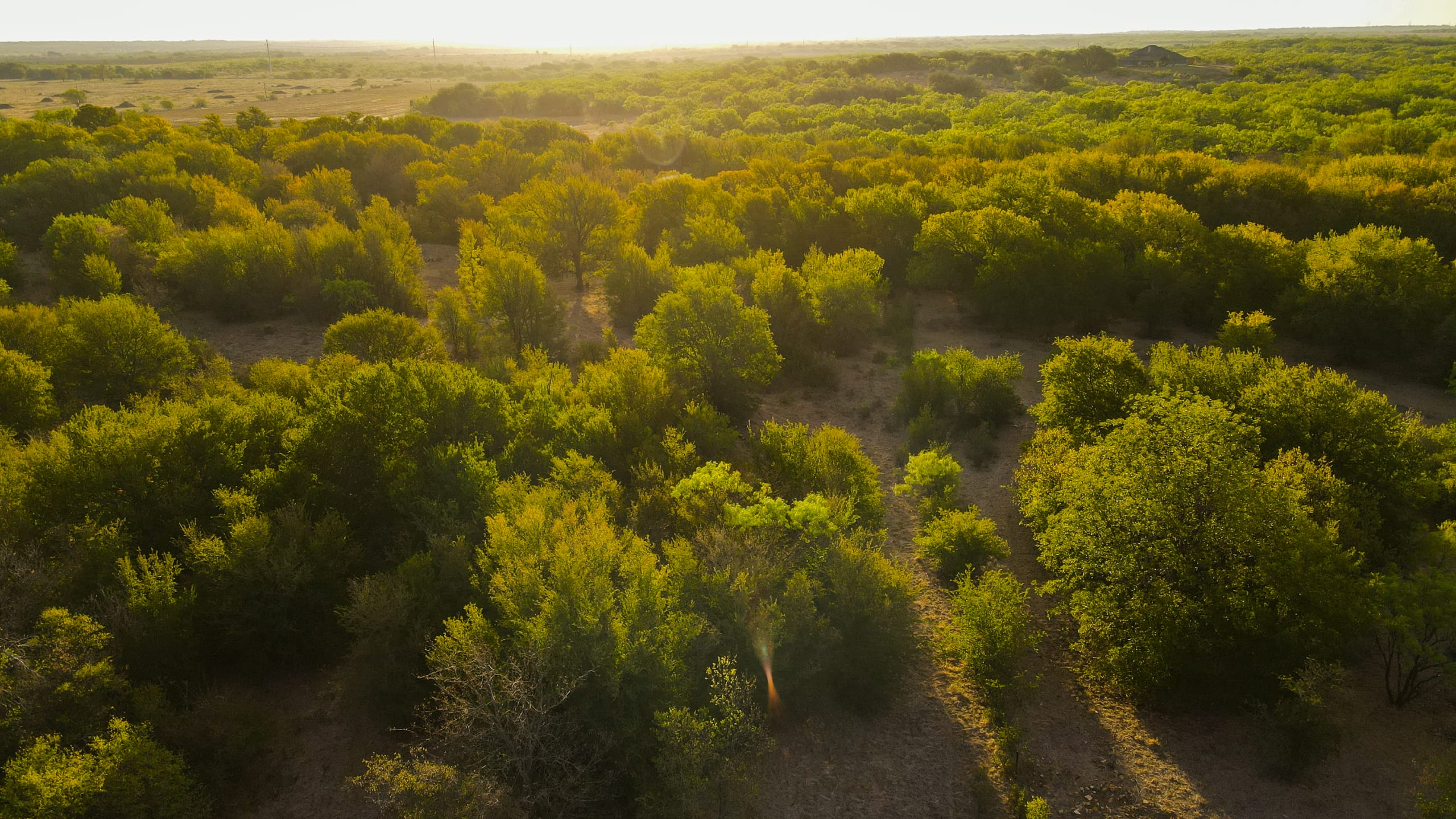 Homepage | Land Company of Texas | Real Estate - Your Texas Land Experts