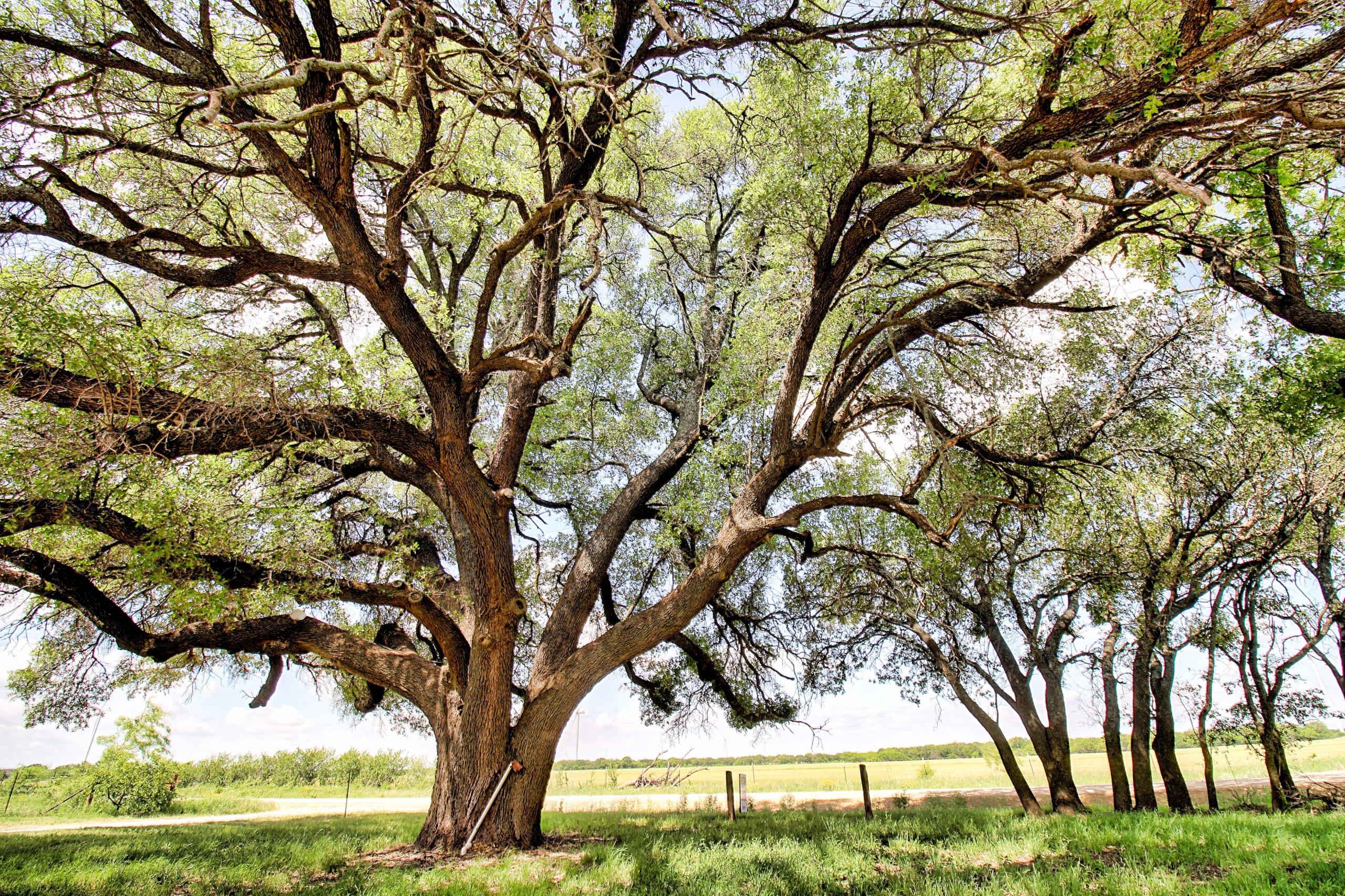 Homepage | Land Company of Texas | Real Estate - Your Texas Land Experts