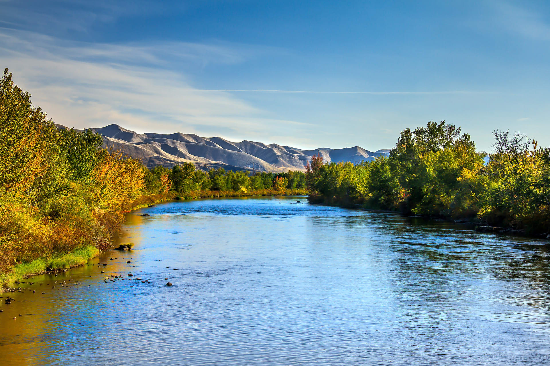 Meridian Idaho CBH Homes For Sale