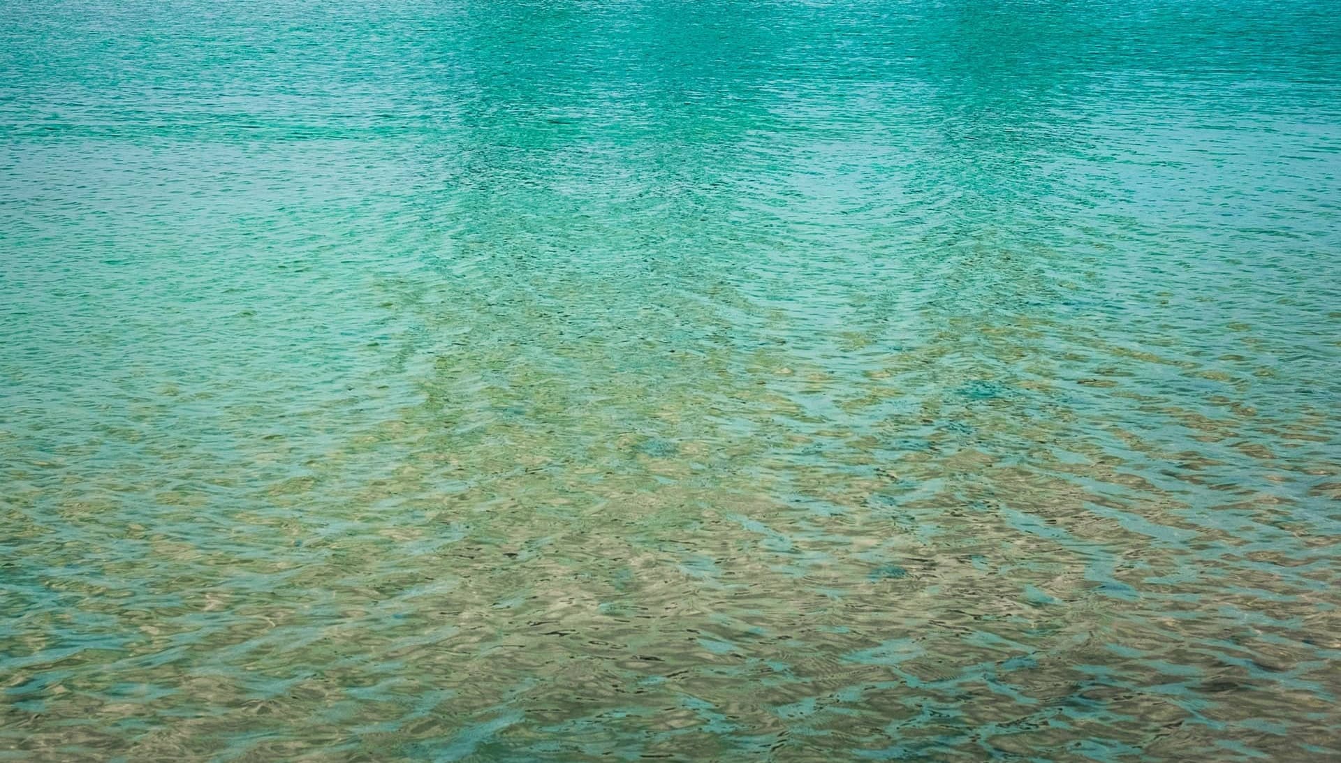 About Us | Captain Cook Real Estate | Honolulu