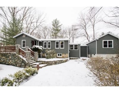 Red Tree Real Estate