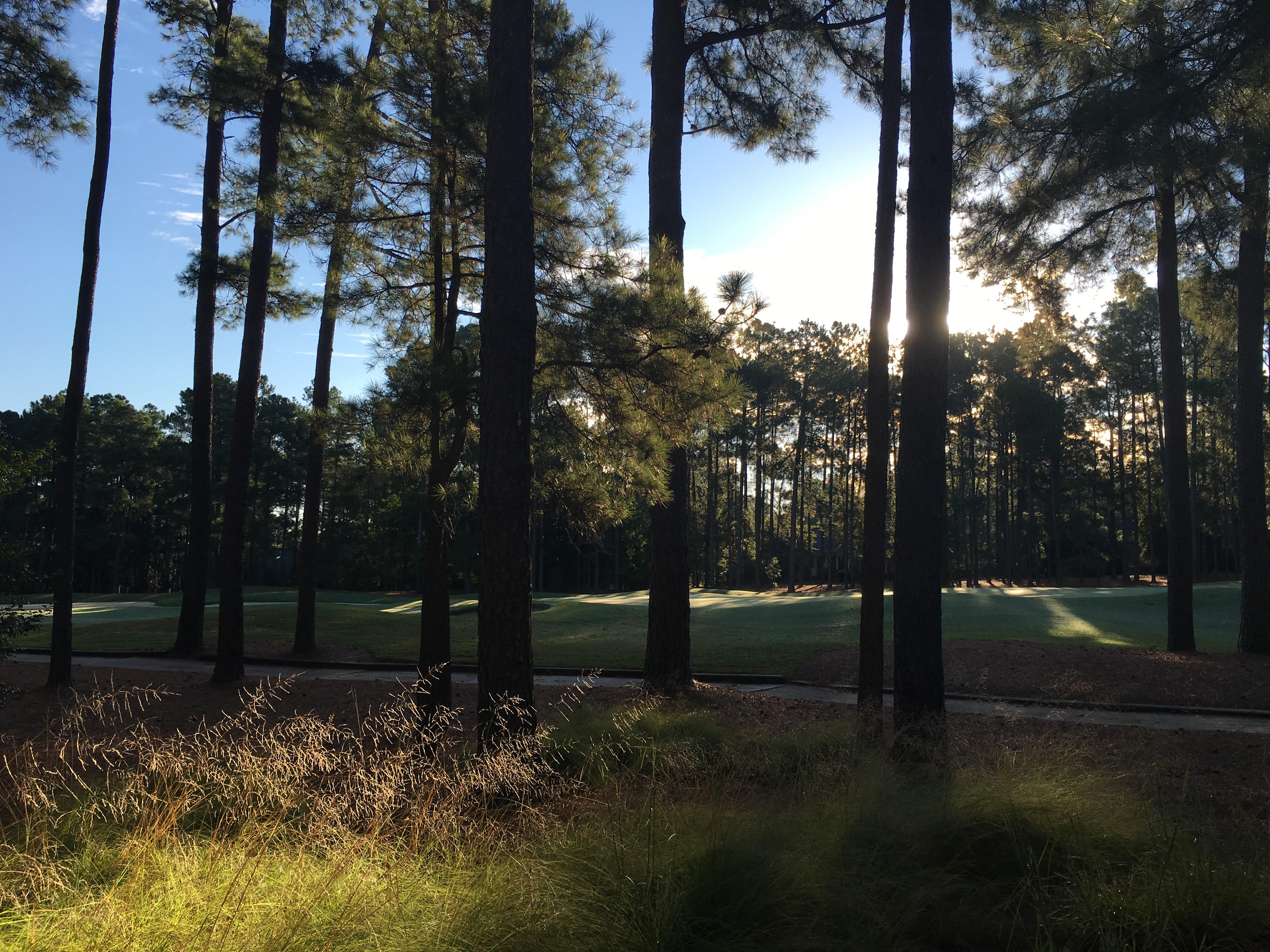 Pinewild real estate for sale